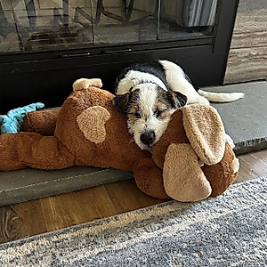 Pet Fit For Life Heartbeat Dog Toy with Heat for Calming Anxiety - Puppy Sleep Aid with USB Rechargeable Heart Beat Simulator and Reusable Heating/Cooling Pad Insert - Extra Large