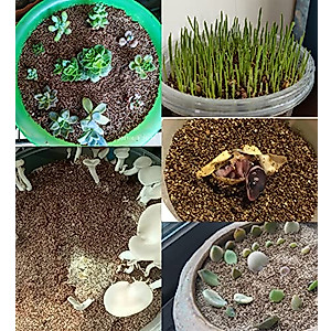 30 QT Professional Grade Horticultural Organic Vermiculite (30 QT, Vermiculite)