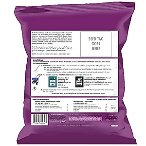 Jonathan Green (10970) Black Beauty Heavy Traffic Grass Seed - Cool Season Lawn Seed (3 lb)