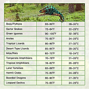 Simple Deluxe 2 Pack Reptile Heat Pad Under Tank Heater 8 X 12 Inch 16W Terrarium Warmer Heating Mat for Lizard/Spider/Frog/Turtle/Snake/Plant 30-40gal Tank, Black