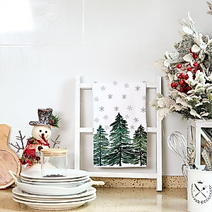 ARKENY Christmas Kitchen Towels Set of 2,Green Xmas Tree Snowflake Dish Towels 18x26 Inch Drying Dishcloth,Farmhouse Nobel Home Decoration AD140