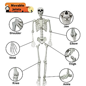 UMEELR 5.4ft/165cm Halloween Skeleton, Poseable Full Size Skeleton with Black Cloak, Life Size Human Bones for Halloween Front Yard Patio Lawn Garden