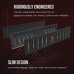 PNY XLR8 Gaming 32GB (2x16GB) DDR4 DRAM 3600MHz (PC4-28800) CL18 1.35V Low Profile Dual Channel Desktop (DIMM) Memory Kit – MD32GK2D4360018LP