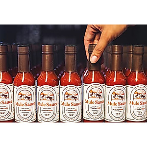 Mule Sauce - Hot sauce with Habanero, Yellow scotch bonnet and Bhut jolokia. (5 oz, 1)
