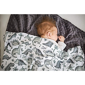Giggle Angel Baby Plush Minky Blanket Double Layer with Dotted Backing for Baby Girl or Baby Boy (Dinosaur Pattern)