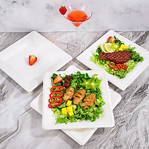 SUT 10-Inch Compostable Paper Plates, 100 PCS Square Biodegradable Bagasse Plates, Heavy-Duty Microwaveable Plates, Eco-Friendly Natural Disposable Plates, Made of Sugarcane Fibers, for Party, Picnic