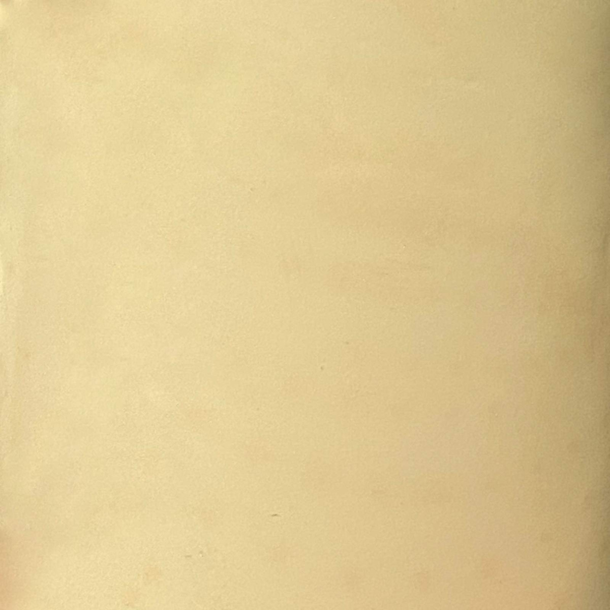 EternaBond RoofSeal Tan 2" x50' MicroSealant UV Stable RV Roof Seal Repair Tape | 35 mil Total Thickness - EB-RT020-50R - One-Step Durable, Waterproof and Airtight Sealant