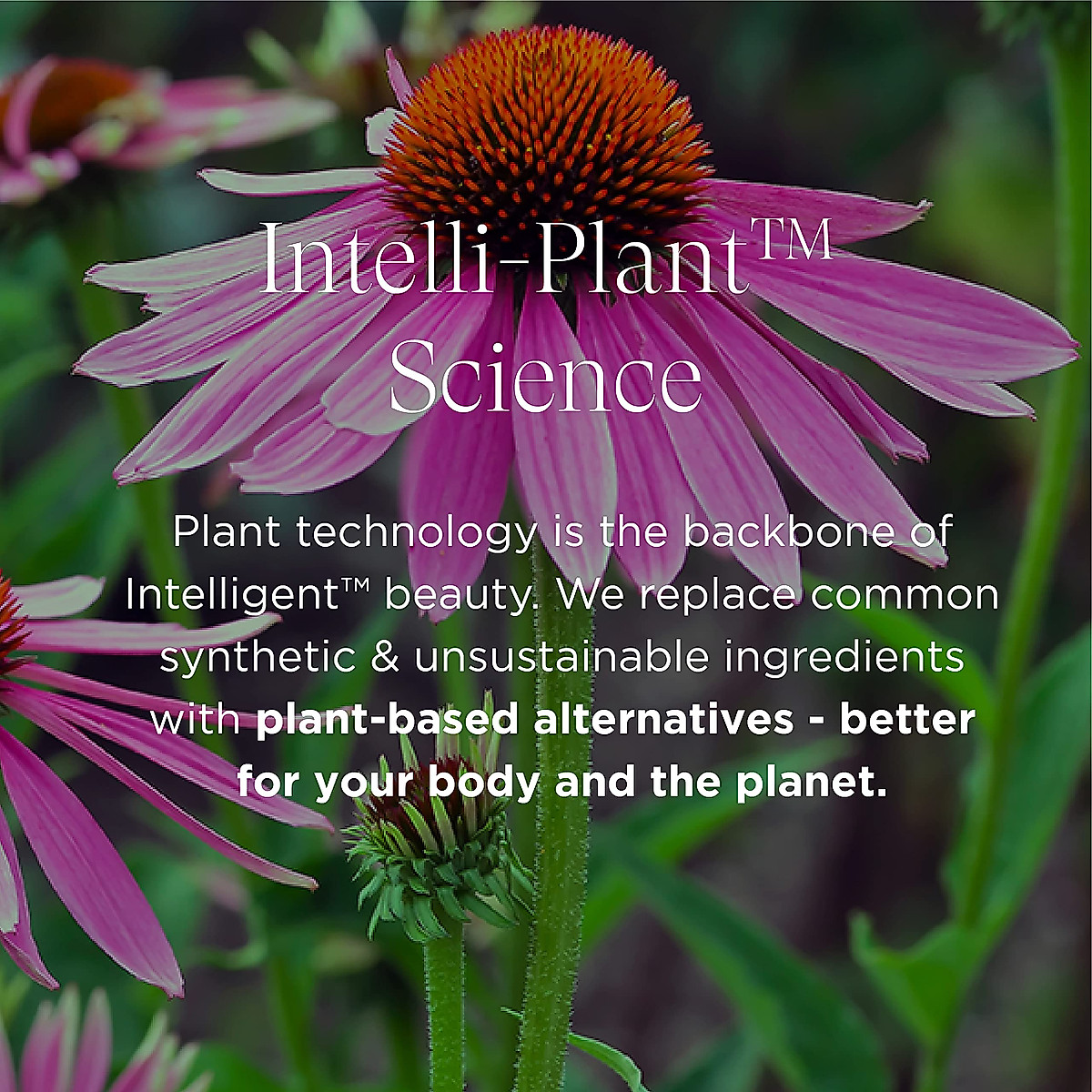 Intelligent Nutrients Fortifi-hair Conditioner - Formerly PureLuxe Conditioner - Baobab Protein Hair Conditioner for Damaged Dry Hair - Helps with Frizz Control- Silicone & Sulfate-Free (32 oz)