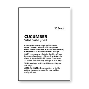 Burpee Salad Bush Slicing Cucumber Seeds 30 seeds