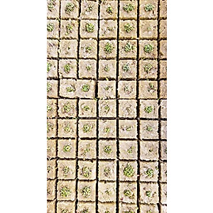 Garden Rockwool Grow Cubes Starter Plugs,for Soilless Culture, Seed Starter, Ideal Hydroponic Grow Media (1.5in-49pcs)