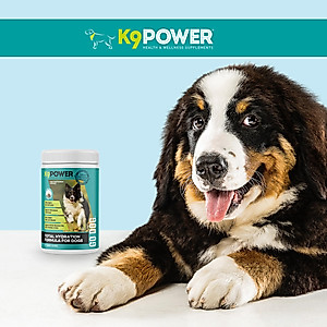 K9 Power Go Dog Hydration & Performance Drink Mix 1 lb - Active Dog Supplement for Muscle Function, Endurance, Recovery, with Electrolytes Support