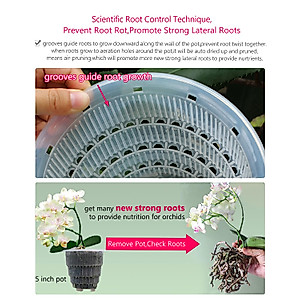 Meshpot 6 inch Orchid Pots with Holes,Set of 2,Double Layer Plastic Imitate Ceramic Orchid Planter Provide Good Air Circulation,Clear Orchid Pot Match Decorative Orchid Container