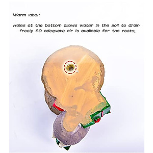 Creative potted plants with drainer garden pots resin succulent potted bonsai cartoon home desk mini ornaments Light-Yellow