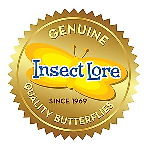 Insect Lore Giant Butterfly Garden with Voucher | 18 Inch Habitat | Life Cycle Figurines Included | Voucher to Redeem 5 Baby Caterpillars Later | Raise Painted Lady Butterflies