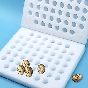 2 Sets 4pcs Refrigerator Quail Egg Tray Small Eggs Trays Eggs Dispenser Pheasant Container Egg Case Portable Mini Fridge Pearl Quail Eggs Tray Minifridge Cartons White Flat Mustard