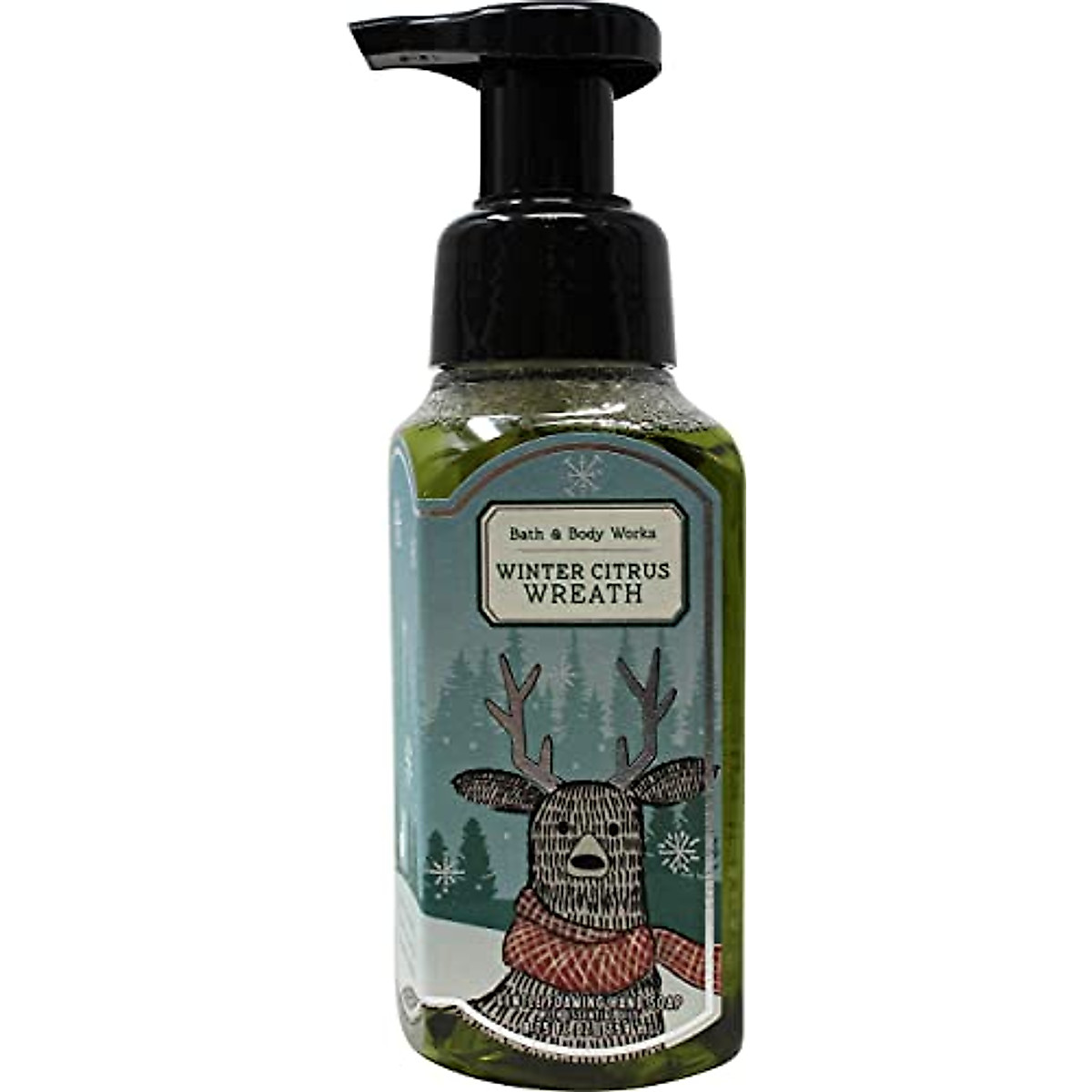 Bath & Body Works Assorted 5 Pack Gentle Foaming Hand Soap