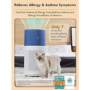 CleanForce Air Purifiers for Home Large Room Up to 2550 ft², HEPA Air Purifier Air Cleaner with WIFI for Dust, Allergens, Pollen, Pet Hair Dander, Odors, Asthma & Allergy Friendly Certified, Rainbow