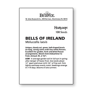 Burpee Moluccella laevis Bells of Ireland Seeds 100 seeds