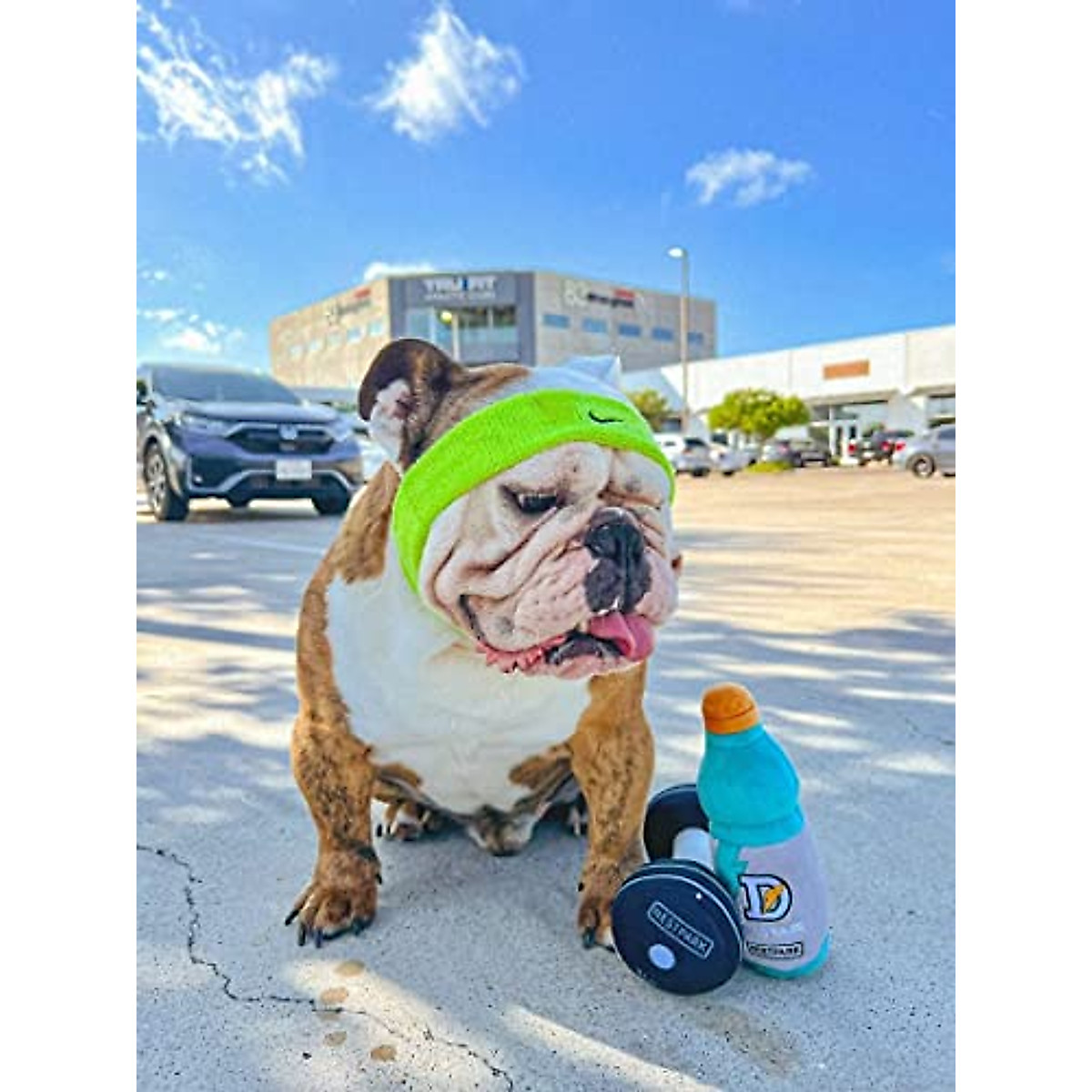 Nestpark Fitness Funny Dog Toys - Doggyade and Doggy Dumbbell Workout Parody Cute Dog Toys - 2 Pack (Workout Pack)