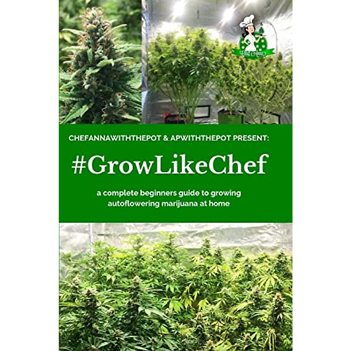 #GROWLIKECHEF: a complete beginners guide to growing autoflowering marijuana at home