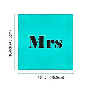 Aimou Outdoor Pillow Covers, 18x18 Inch Set of 2 Waterproof Patio Throw Pillow Covers, Decorative Pillowcase Square Cushion Case Covers for Patio Furniture, Garden, Balcony, Farmhouse - Light Blue