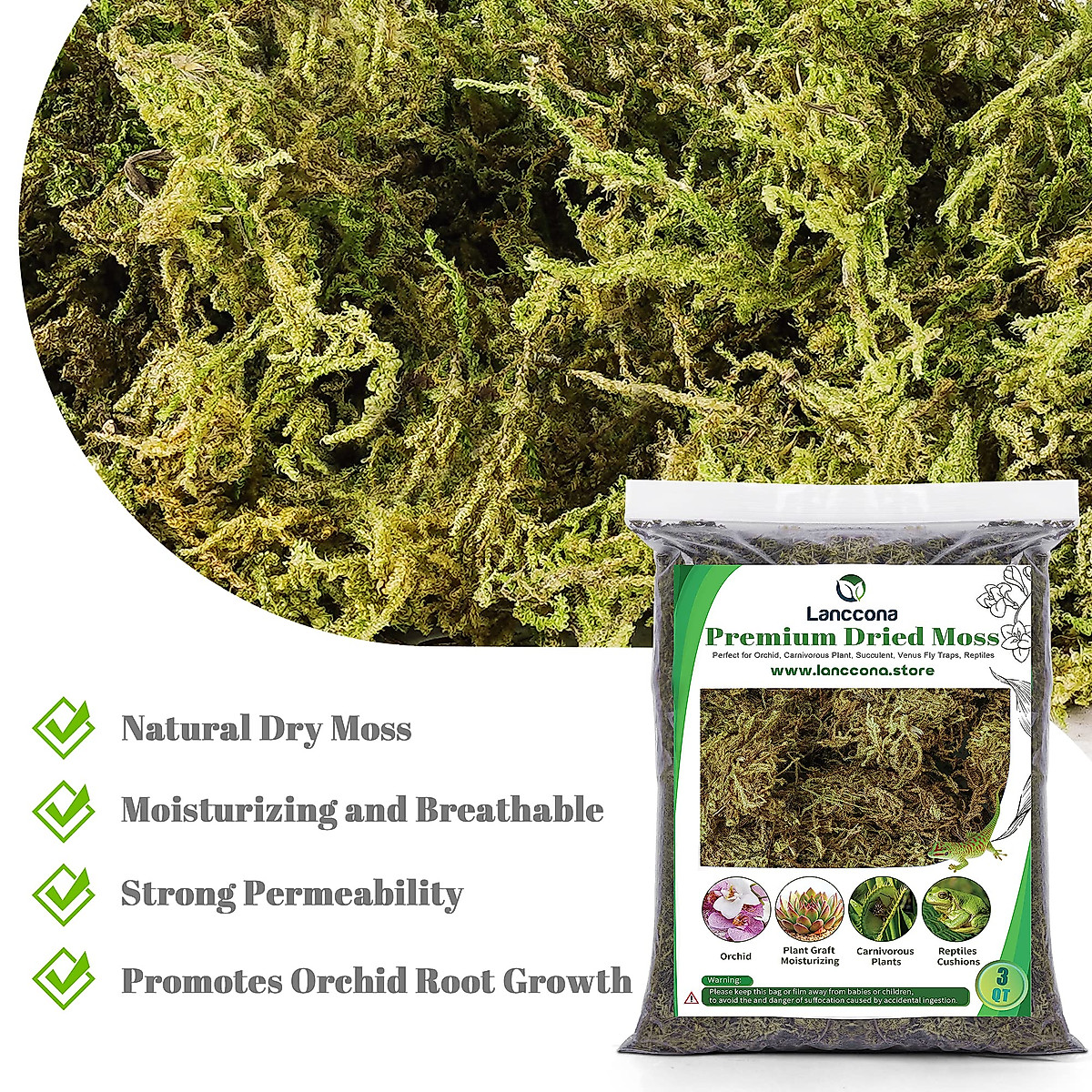 Lanccona Sphagnum Moss - 3 Quarts Dried Forest Moss for Orchid Moss Potting Mix Carnivorous Plants Succulents Reptiles Decorating Terrariums Potted Plant Propagation