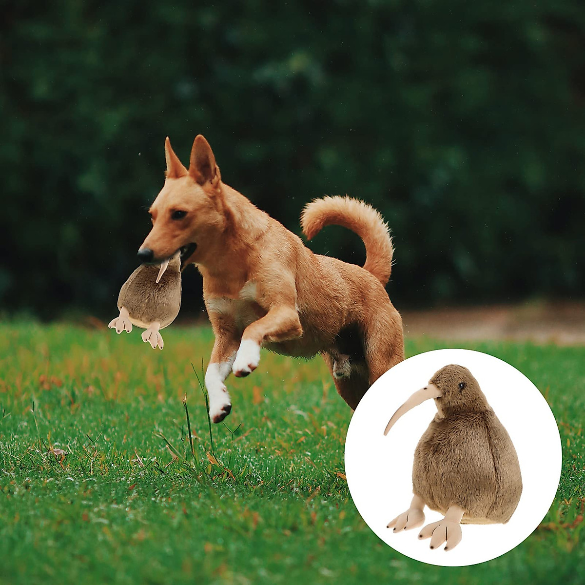 Kiwi Bird Stuffed Plush Toy: Kiwi Bird Plush Stuffed Doll Soft Furry Stuffed Animal Toys for Pets Dogs Puppy 12cm