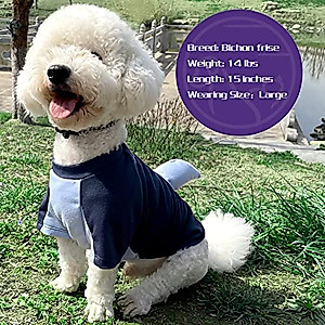 cyeollo Dog Costumes Shark T Shirts Costume for Small Dogs Funny Clothes Breathable Soft T Shirts with Sleeves Dog Apparel