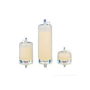 Whatman 6706-3602 Polycap AS 36 Nylon Membrane Capsule Filter with SB Inlet and Outlet Plus Filling Bell, 60 psi Maximum Pressure, 0.2 Micron