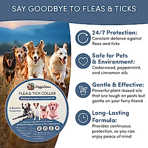 Flea and Tick Collar for Dogs and Cats- Long-Lasting 8-Month Protection Using Natural Plant-Based Oils - Safe for Pets, People and The Environment - 2-Pack Flea Collar for Dogs and Cats
