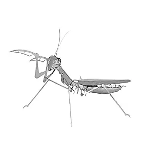 Metal Earth Fascinations Praying Mantis 3D Metal Model Kit