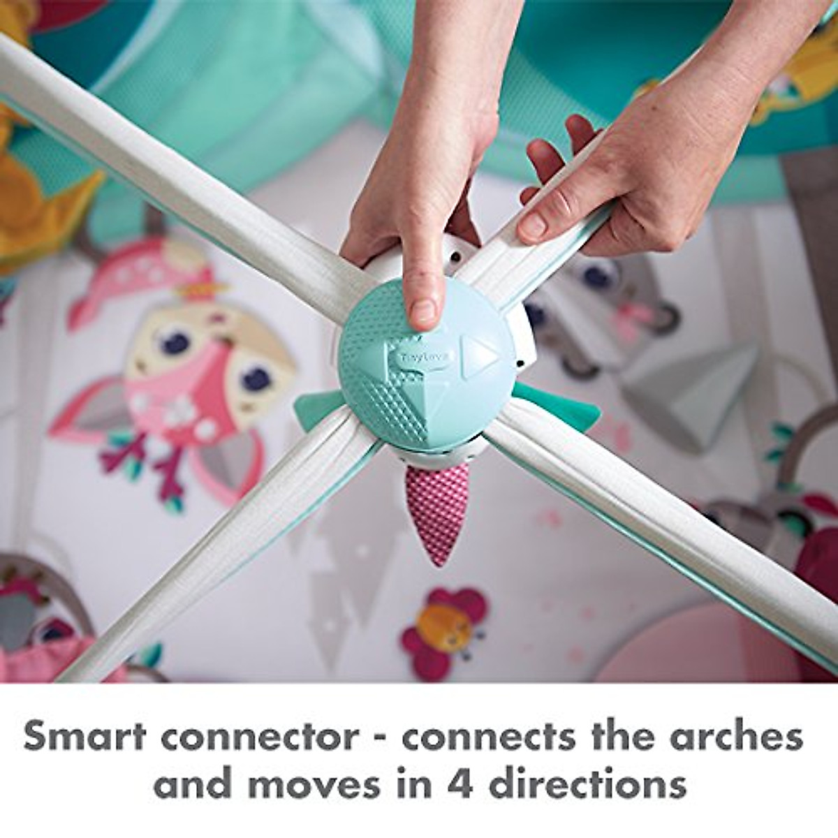 Gymini Deluxe Activity Gym Play Mat, Tiny Princess Tales