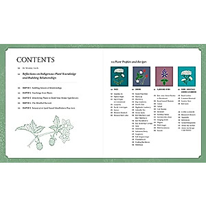 Held by the Land: A Guide to Indigenous Plants for Wellness