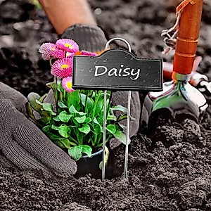 Metal Plant Labels Weatherproof 25 Pack, Stainless Steel 304 Garden Label Markers Outdoor for Plants Vegetables Herb Seedlings Flowers with a Pen, Label Area 3.74'' x 1.39'' Height 10.75 Inch