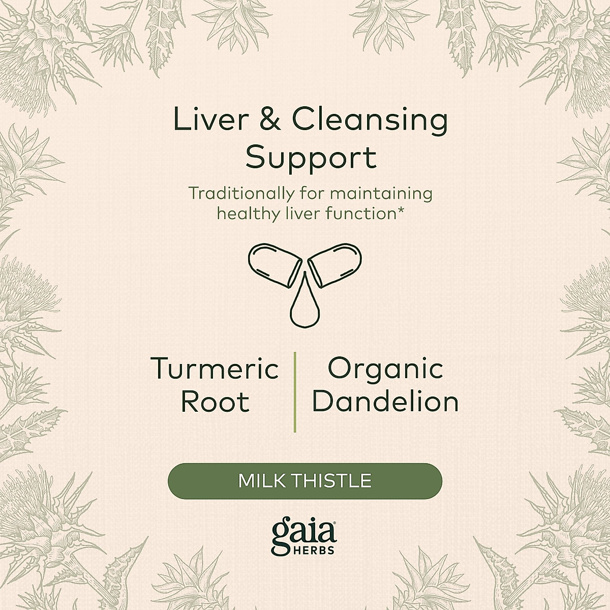 Gaia Herbs Liver Cleanse - Liver Health Support Herbal Supplement with Milk Thistle, Burdock, Turmeric Curcumin, Dandelion, and More - 60 Vegan Liquid Phyto-Caps (30 Servings)