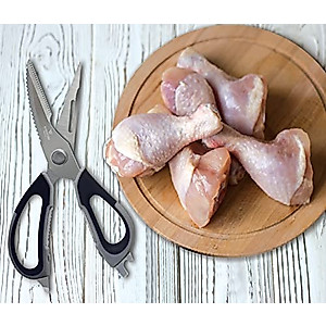 9" Premium Kitchen Shears with Detachable Blades by Better Kitchen Products, Stainless Steel, All Purpose Come Apart Utility Scissors, Heavy Duty Kitchen Scissors, Meat Scissors, Poultry Shears