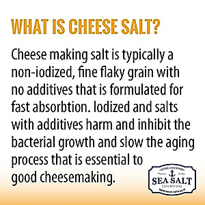 Cheese Sea Salt, Fine Sea Salt for Homemade Cheese Making, Gluten-Free and Non-Iodized Salt, Kosher Cheese Kit Essential Salt, 1 lb Shaker, Sea Salt Superstore