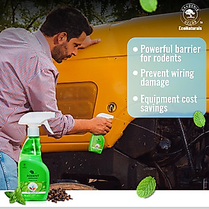 All Natural Peppermint Oil Spray, Non-Toxic Rat Repellent to Repel Mice and Rats, Rodent Repellent Spray - 8oz Ready to Use