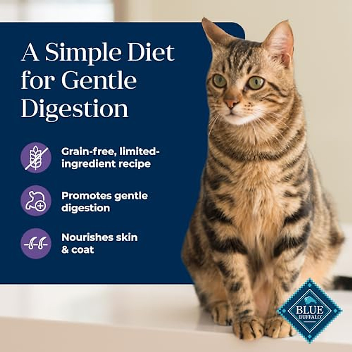 Blue Buffalo Basics Grain-Free Dry Cat Food, Skin & Stomach Care, Limited Ingredient Diet for Indoor Cats, Turkey & Potato Recipe, 5-lb. Bag