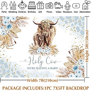 Avezano Highland Cow Baby Shower Backdrop for Boy Holy Cow Highland Cattle Baby Shower Party Decorations Blue We are Having A Baby Shower Party Background(7x5ft)