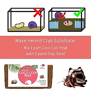 Snout and Shell Coco Peat Reptile & Amphibian Bedding 1.4 lbs - Perfect for Frogs, Salamanders, Geckos & Snakes Tunneling - 100% Organic Coconut Husks - 650 Grams, Brown