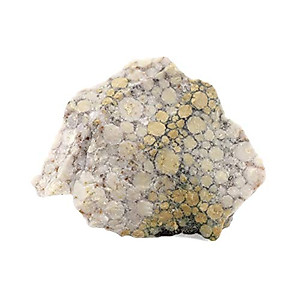 6PK Raw Conglomerate, Sedimentary Rock Specimens - Approx. 1" - Geologist Selected & Hand Processed - Great for Science Classrooms - Class Pack - Eisco Labs