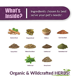 AMBER NATURALZ Tumoxil Deep Skin Health Herbal Supplement for Dogs and Puppies | Canine Herbal Supplement for Skin and Metabolism Support | 4 Fluid Ounce Glass Bottle | Manufactured in The USA