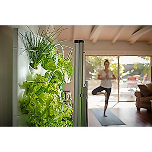 iHarvest Indoor Garden | Grow 30 Healthy Plants 30-50% Faster & Bigger in a Beautiful, Space Conscious Vertical Indoor Garden. No Chemicals or GMO's Needed.