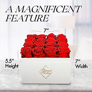 GLAMOUR BOUTIQUE Preserved Roses in a Box - Valentines Day Gifts for Her, wife & Mom, 16-Piece Rose Forever Flowers Decor for Birthday Gift, Get Well Flower Bouquet Cased in White Box with Cover - Red