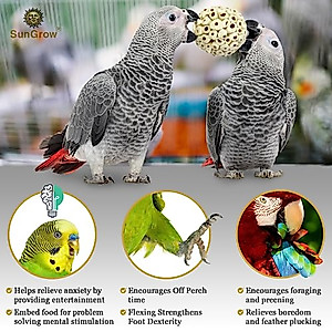 SunGrow Sola Atta Foraging Balls, 2”, White Soft Shred Parrot Chews, Bird Chewing Accessories for Conure, Budgie, Parakeet, Cockatiel, Rabbits, Hamsters, and Other Small Pets, 3 Pcs/Pack