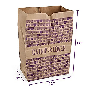 SmartyKat (2 Count Catnip Caves Catnip Infused Bag Cat Toys - Brown, 2 Count