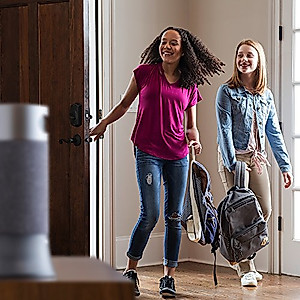 Honeywell Home RCHS5200WF Smart Home Security Base Station