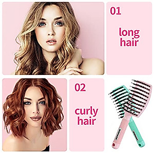 EKONAER 3 Pack Vented Quick Drying Massage Blow Detangler Brush,Boar Bristle Hair Brush Set-Curved,Detangling Hair Brush for Women Long,Thick, Thin, Curly(Green)