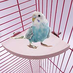 Bird Perch Platform Stand，Wood Perch Bird Platform Parrot Stand Playground Cage Accessories for Small Anminals Rat Hamster Gerbil Rat Mouse Lovebird Finches Conure Budgie Exercise Toy (Semicircle)